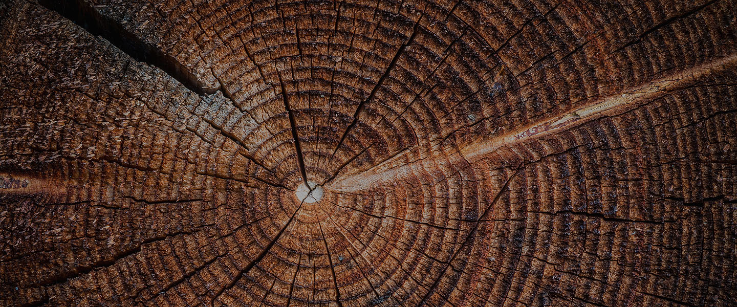 Experienced Professionals | Careers | Guidehouse