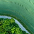 Business process excellence: The future-proof bank | Guidehouse