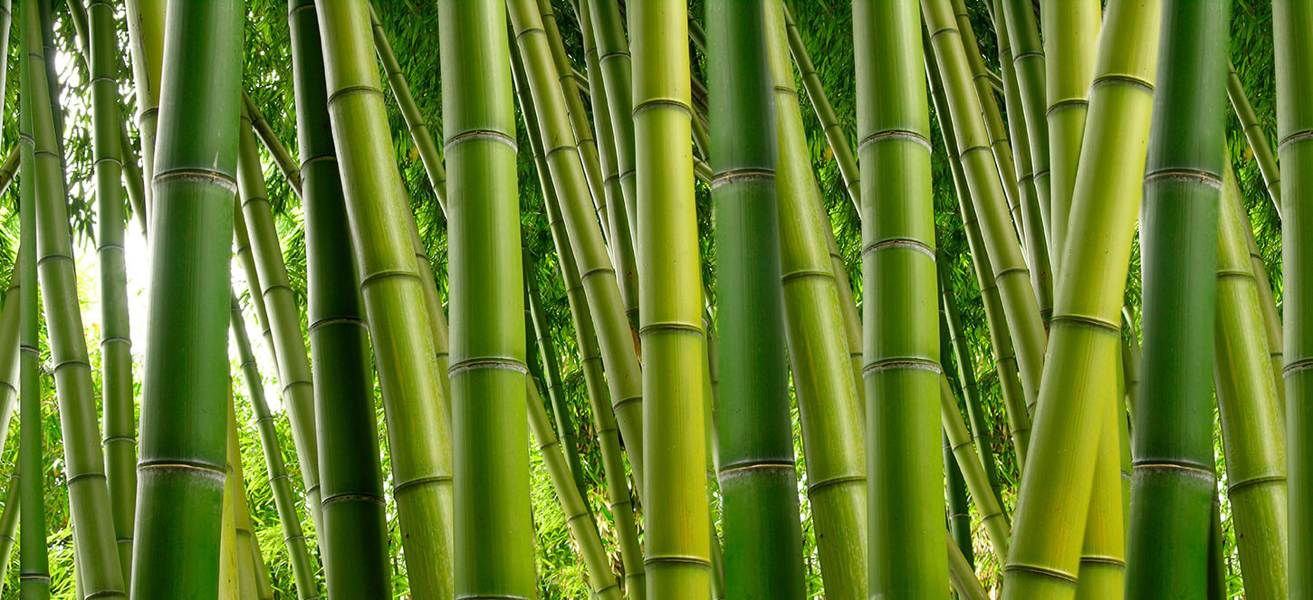 Green Crime and Anti Money Laundering: The Threat and Consequences of ...